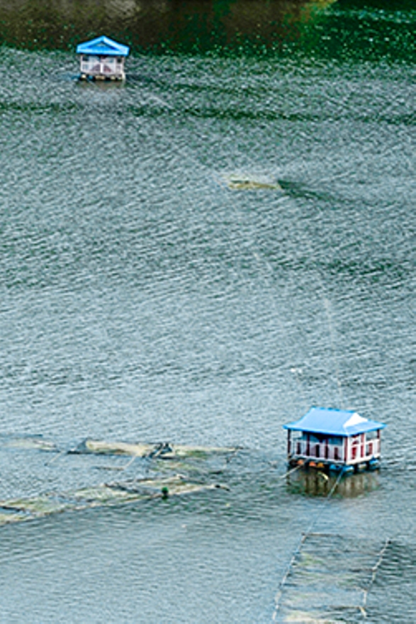 Indra Sarovar: The lake is 'artificial', but its beauty is natural ...