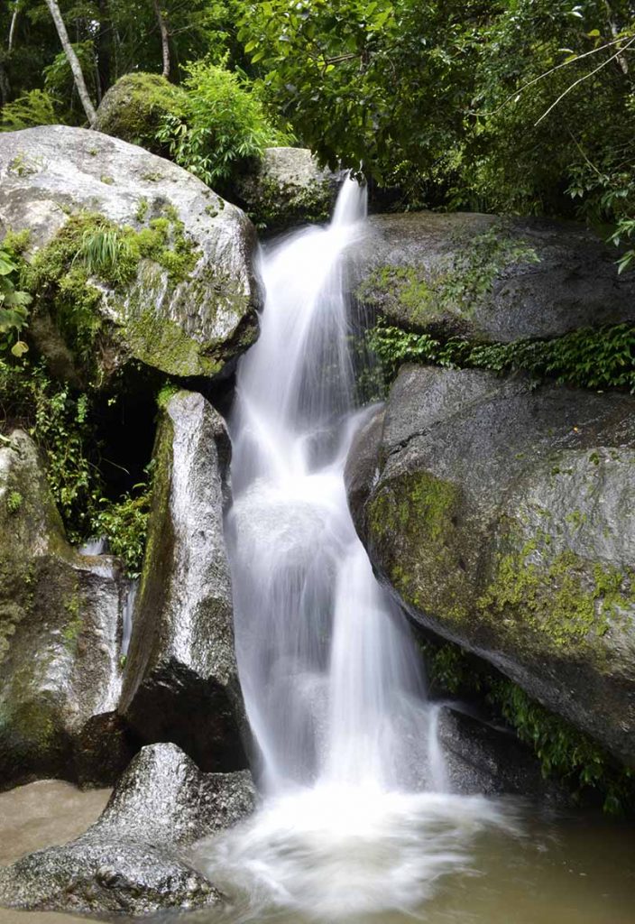 Finding nature's long-lost music and motion in Kathmandu's monsoon ...