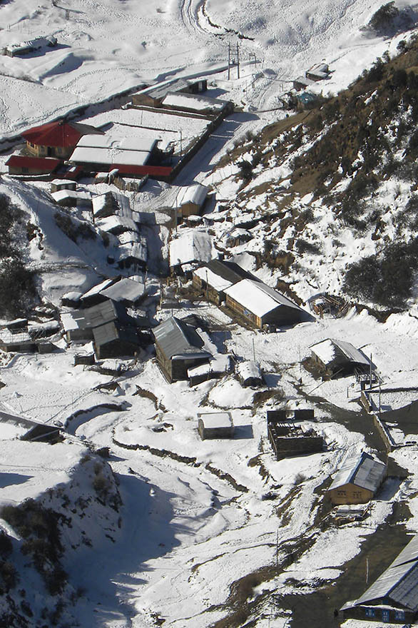 Kuri: On Bear-Controlled Trails - OnlineKhabar English News