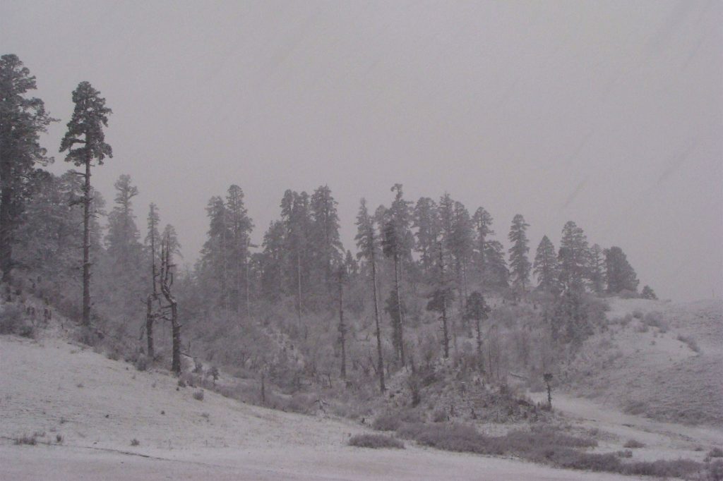 Winter in Nepal: Four places to go to play with snow! - OnlineKhabar ...