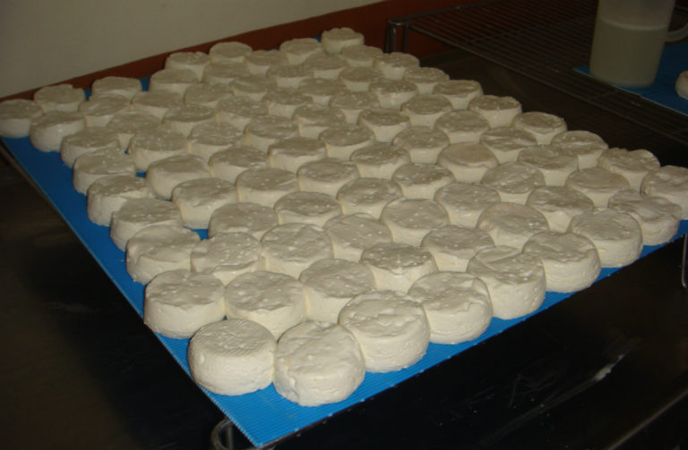 From cauliflowers to goat milk: The story of Nepal's pioneering cheese ...