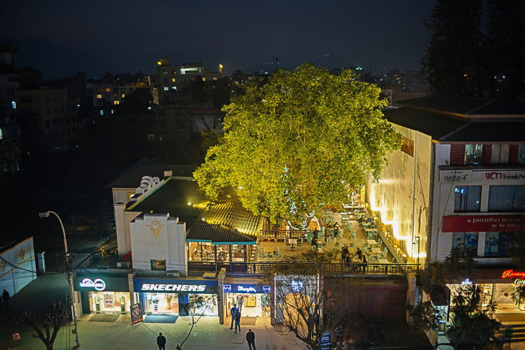 Sam's One Tree Restaurant Review: A blend of familiarity and novelty ...