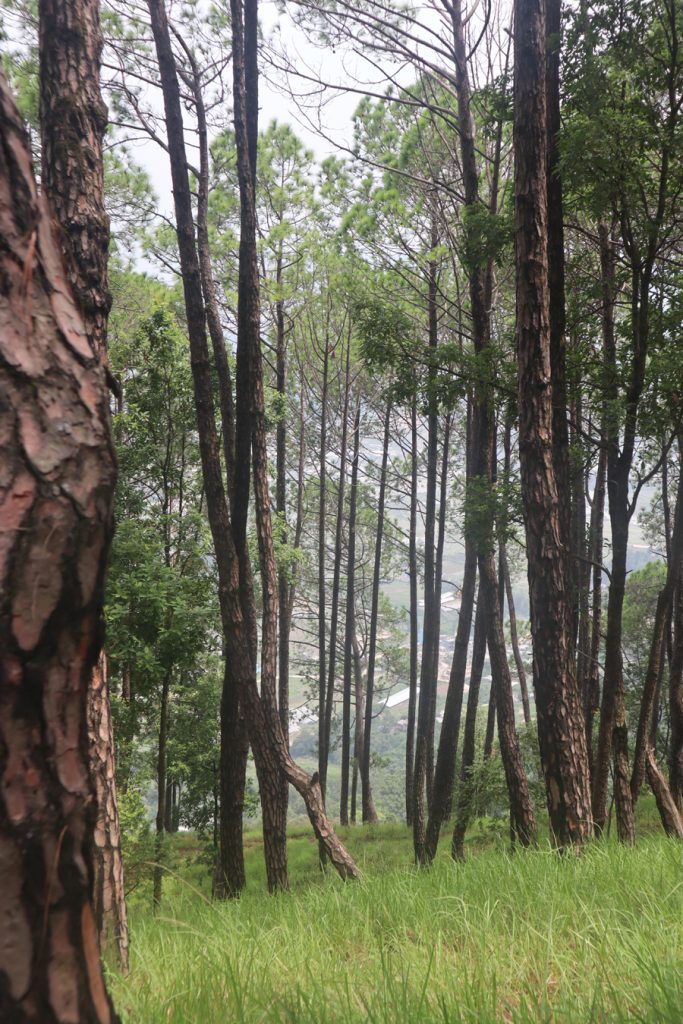 Hiking the Tarkeshswor shrine - OnlineKhabar English News