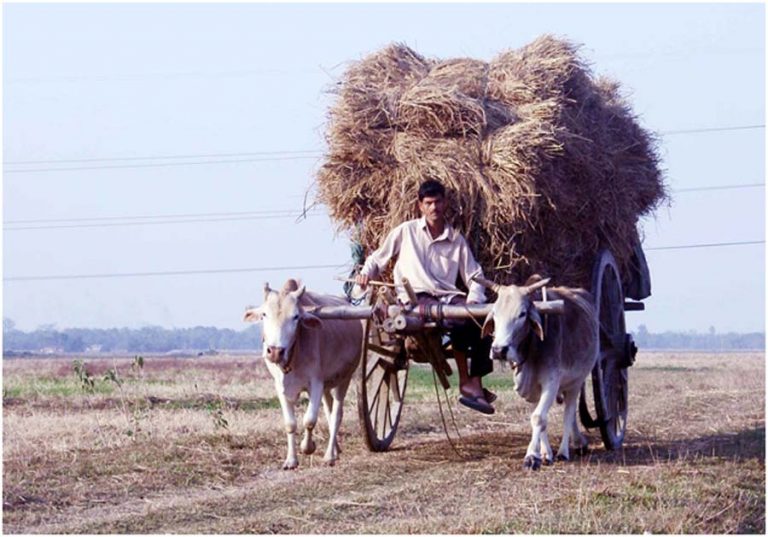 Sixth sense: Myth or fact? - OnlineKhabar English News