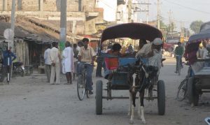 The buried kingdom of Simraungadh - OnlineKhabar English News