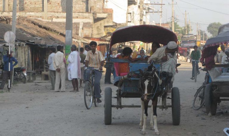 The buried kingdom of Simraungadh - OnlineKhabar English News