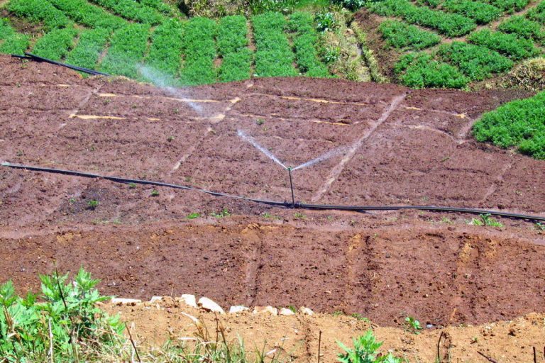 Irrigation linked to reduced rainfall in northern India - OnlineKhabar ...