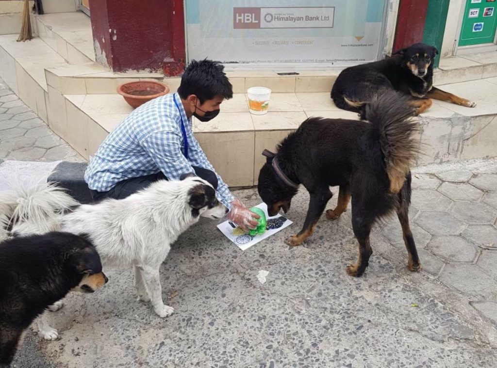 Amid lockdown, this New Year became boring for many but blissful for ...