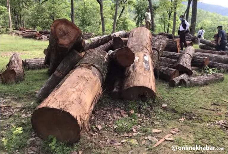 House panel finds 'scientific forest management' promoting ...