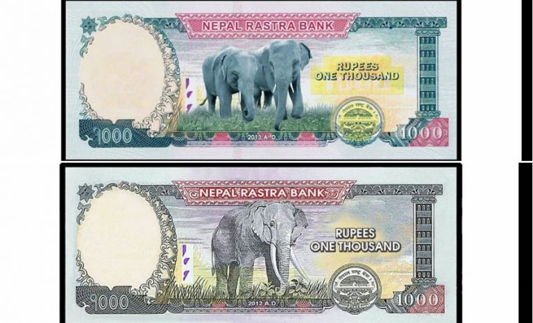 This is why Nepal changed elephant picture on 1,000-rupee notes ...