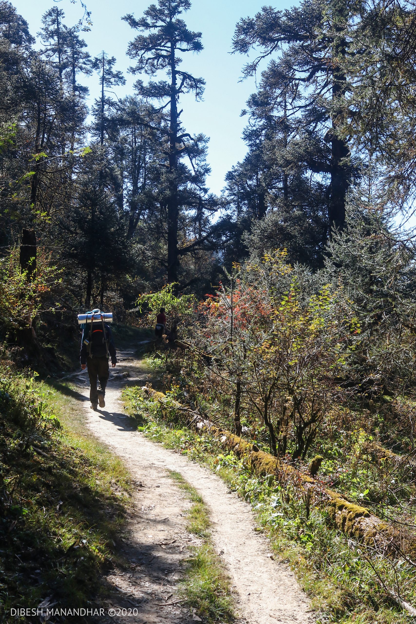 Camping at Panch Pokhari: A chilled trek turned into pilgrimage ...