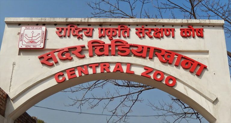 Nepal's Central Zoo reopens after 9 months of Covid-19 closure ...
