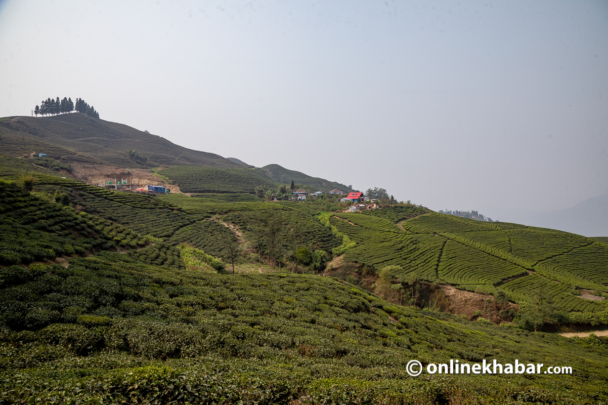 10 destinations in Nepal that are rich naturally - OnlineKhabar English ...