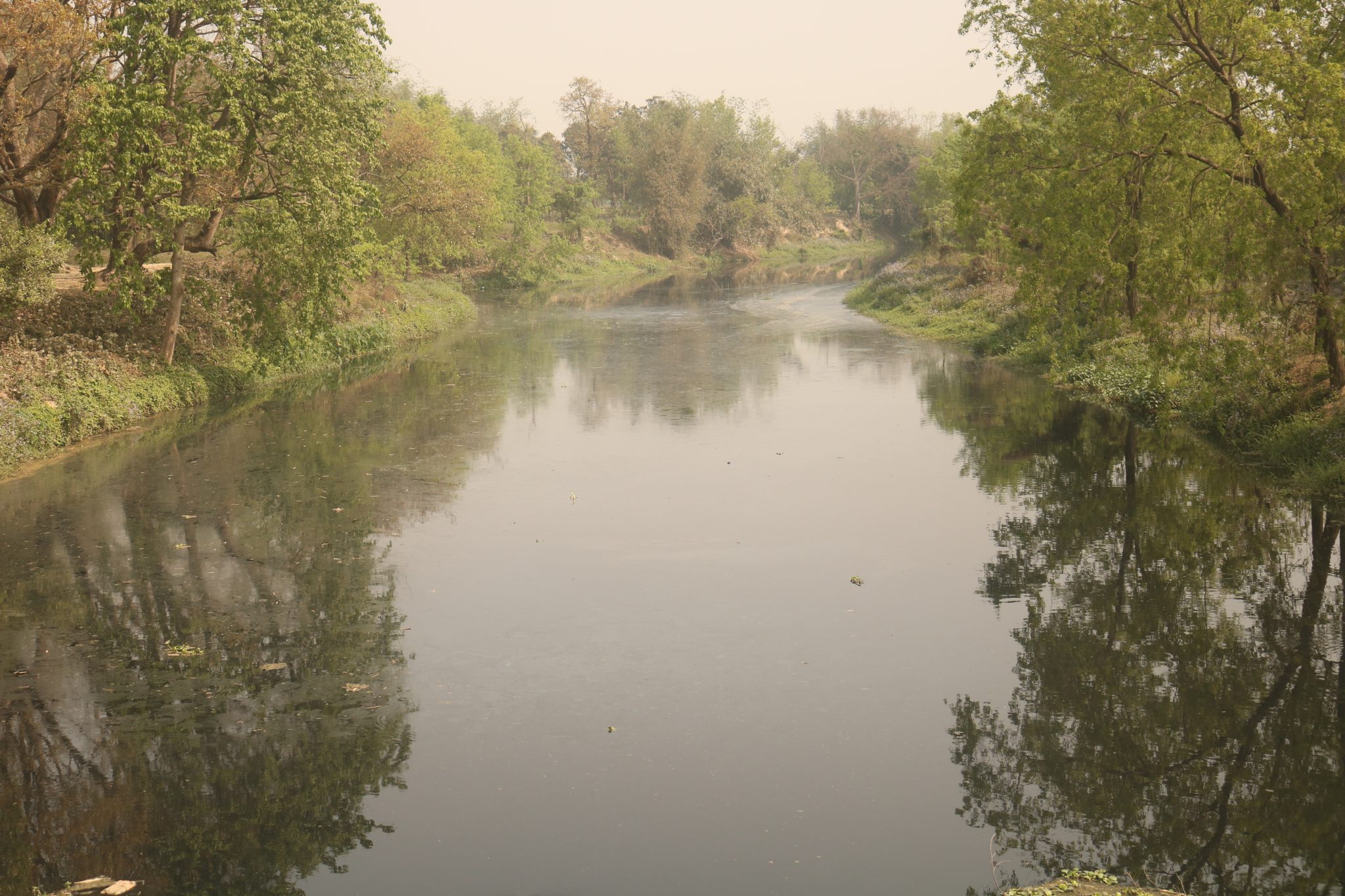 Sirsia, once the revered river of southern Nepal, is an exemplar of ...