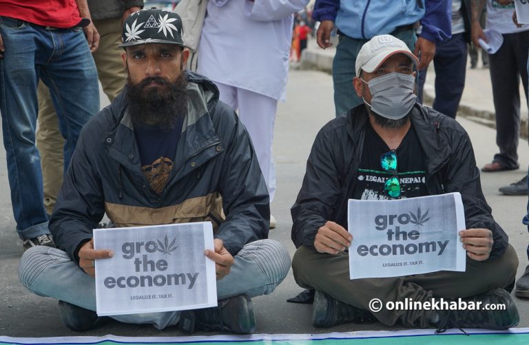 Marijuana in Nepal: As the government is opening medicinal use, activists renew pressure for ...