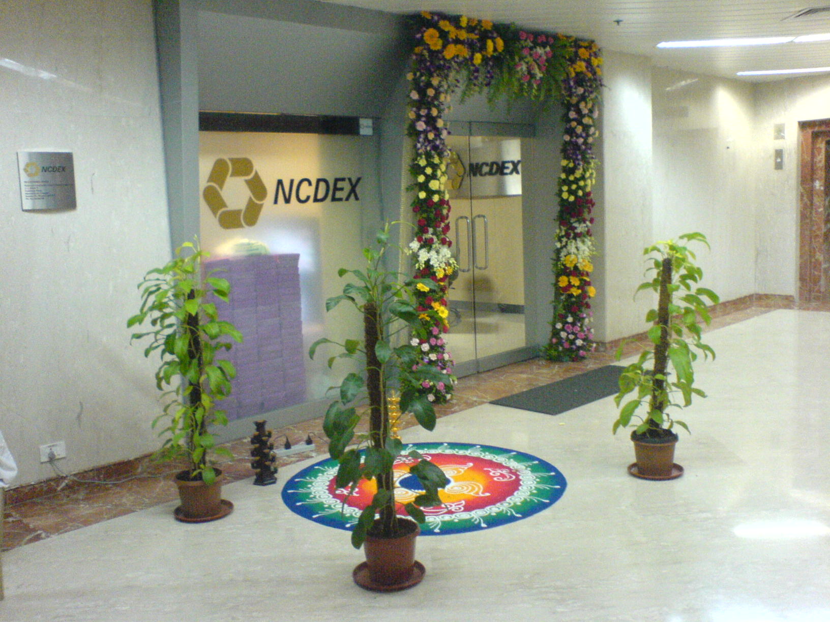 Make your Tihar eco-friendly. Here's better ways to do so