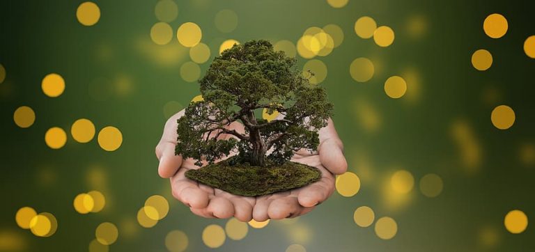 Disappearing chautari: Nepal’s sacred rest stops at risk amid modern ...