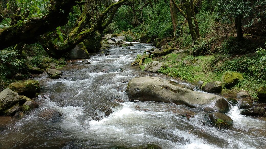 6 easy family hiking destinations in Kathmandu - OnlineKhabar English News