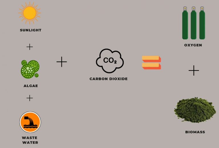 Chyau Bio: Startup solving Kathmandu's waste, air problems