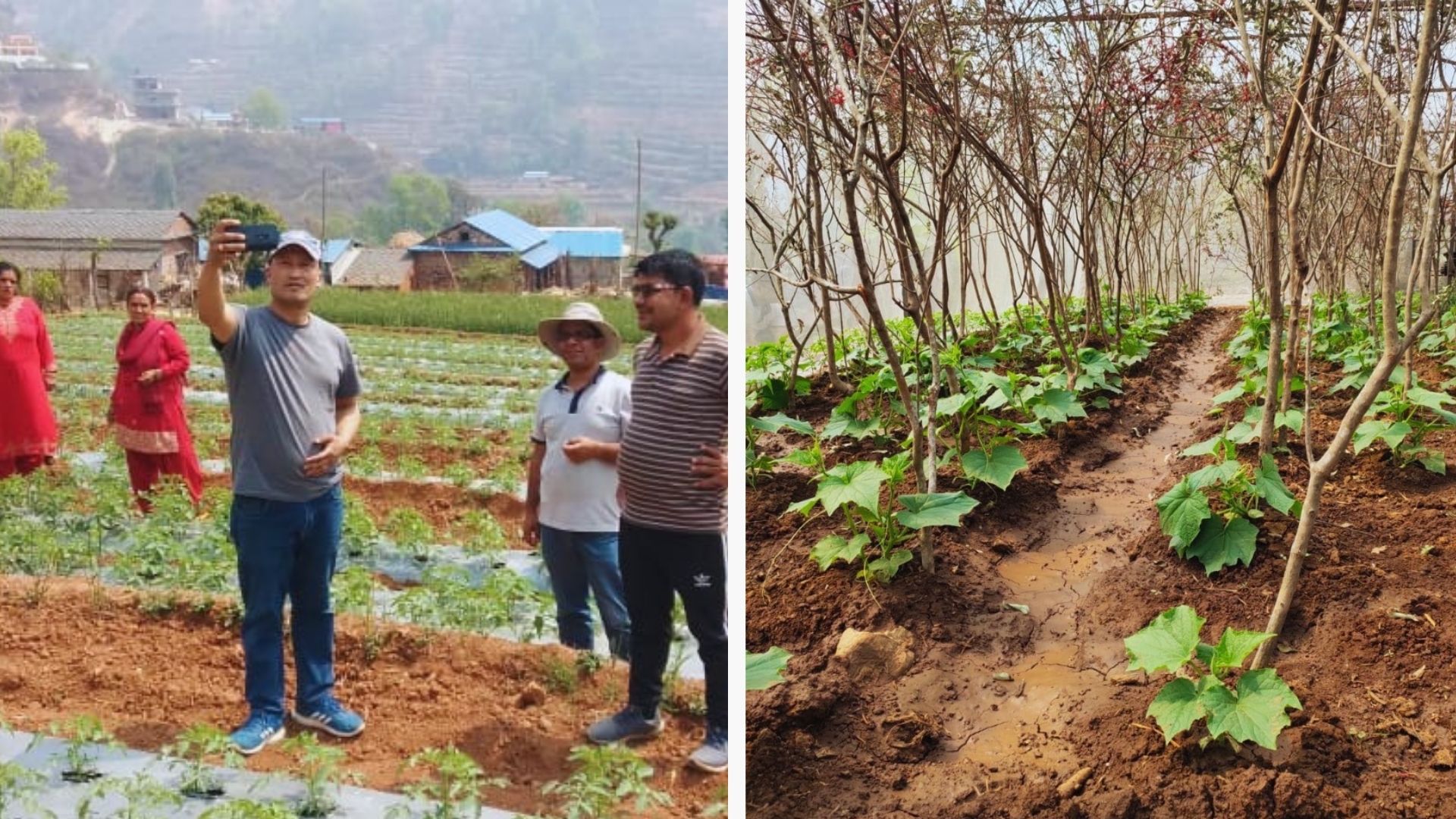 Super Krishak app is turning Nepal farmers smart