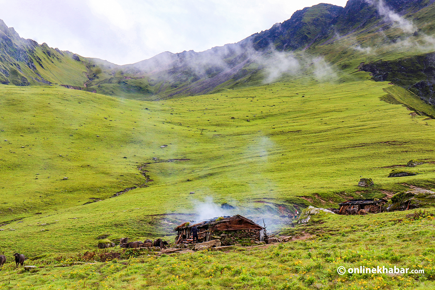 Dhorpatan: Know all about Nepal’s only hunting destination ...