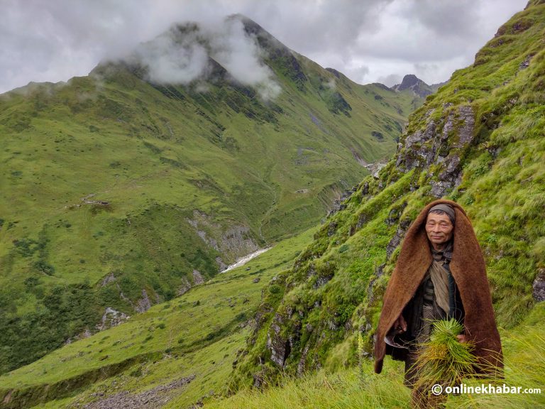 Dhorpatan: Know all about Nepal’s only hunting destination ...