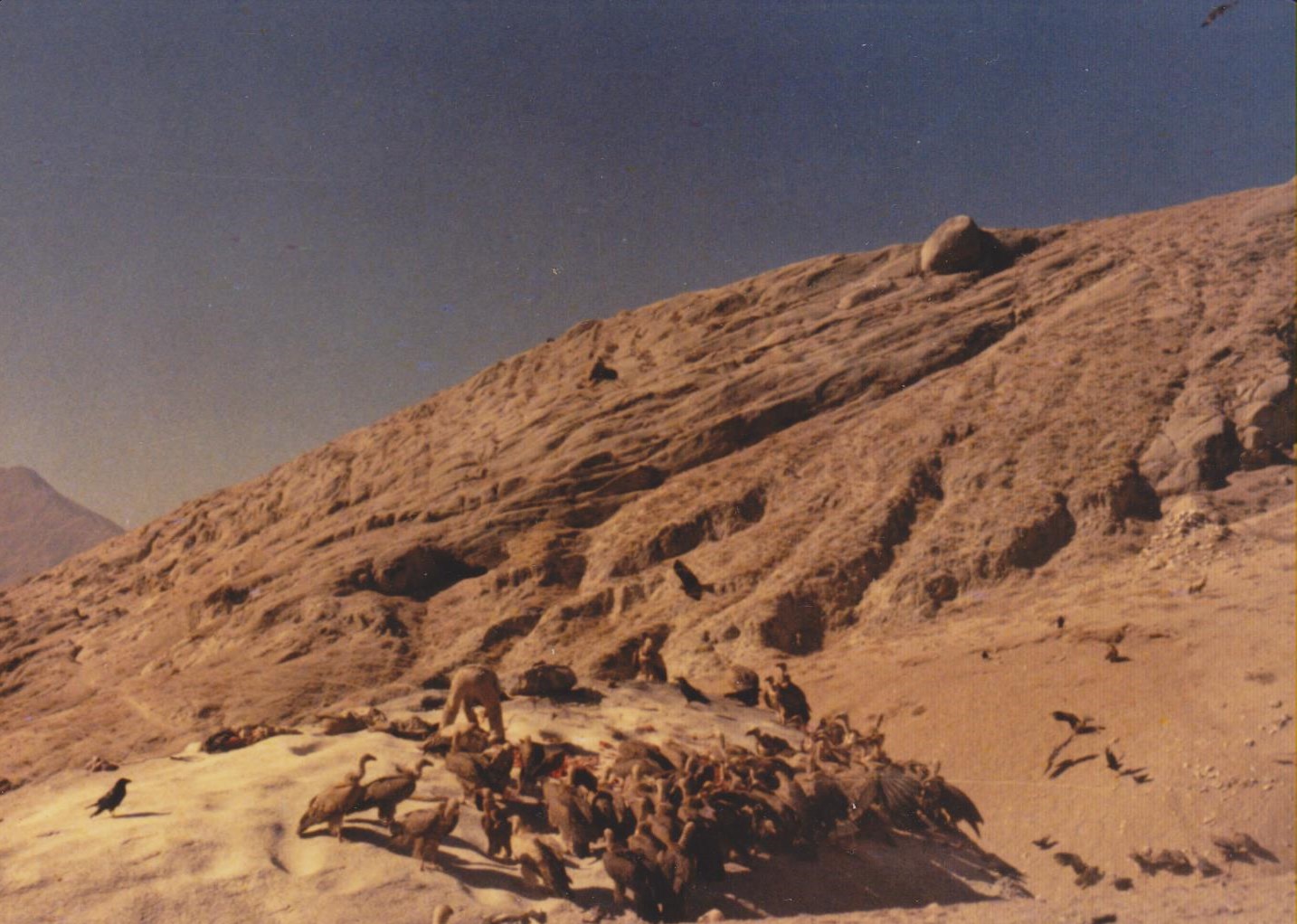 Sky burial: Know all about this unique practice in Nepal's Himalayas ...