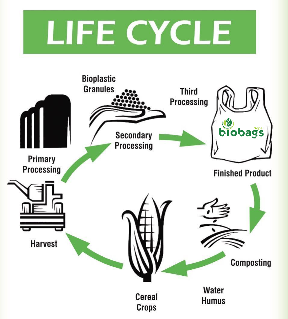 Bio Bags: What's inside this startup's bags for clean, green and ...