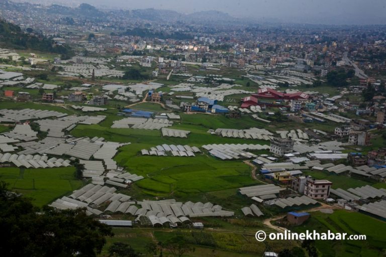 Arable land decreasing in Kathmandu valley: Why the problem?