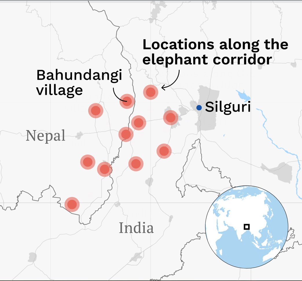 Grassroots groups tackle human-wildlife conflict across the India-Nepal ...